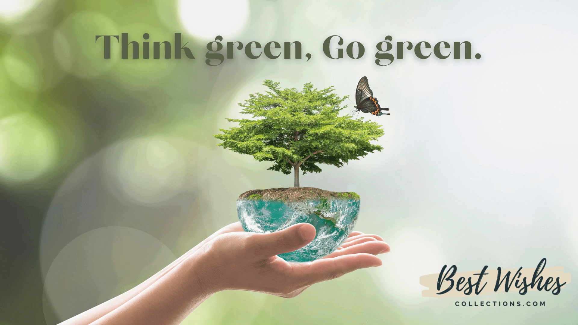 World Environment day Quotes, Theme, Slogan, Poster & Essay