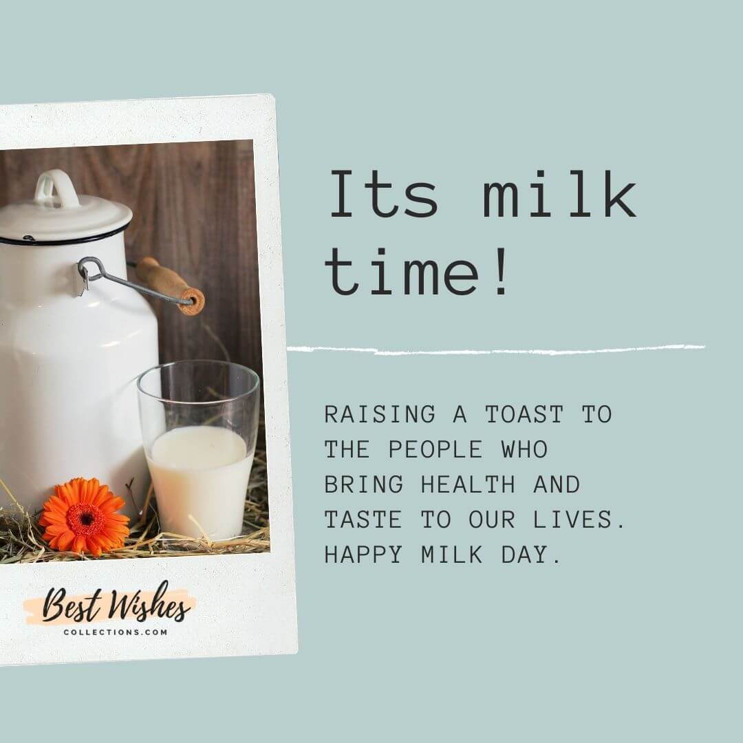 51 Best World Milk Day wishes, Quotes , Themes & Slogans