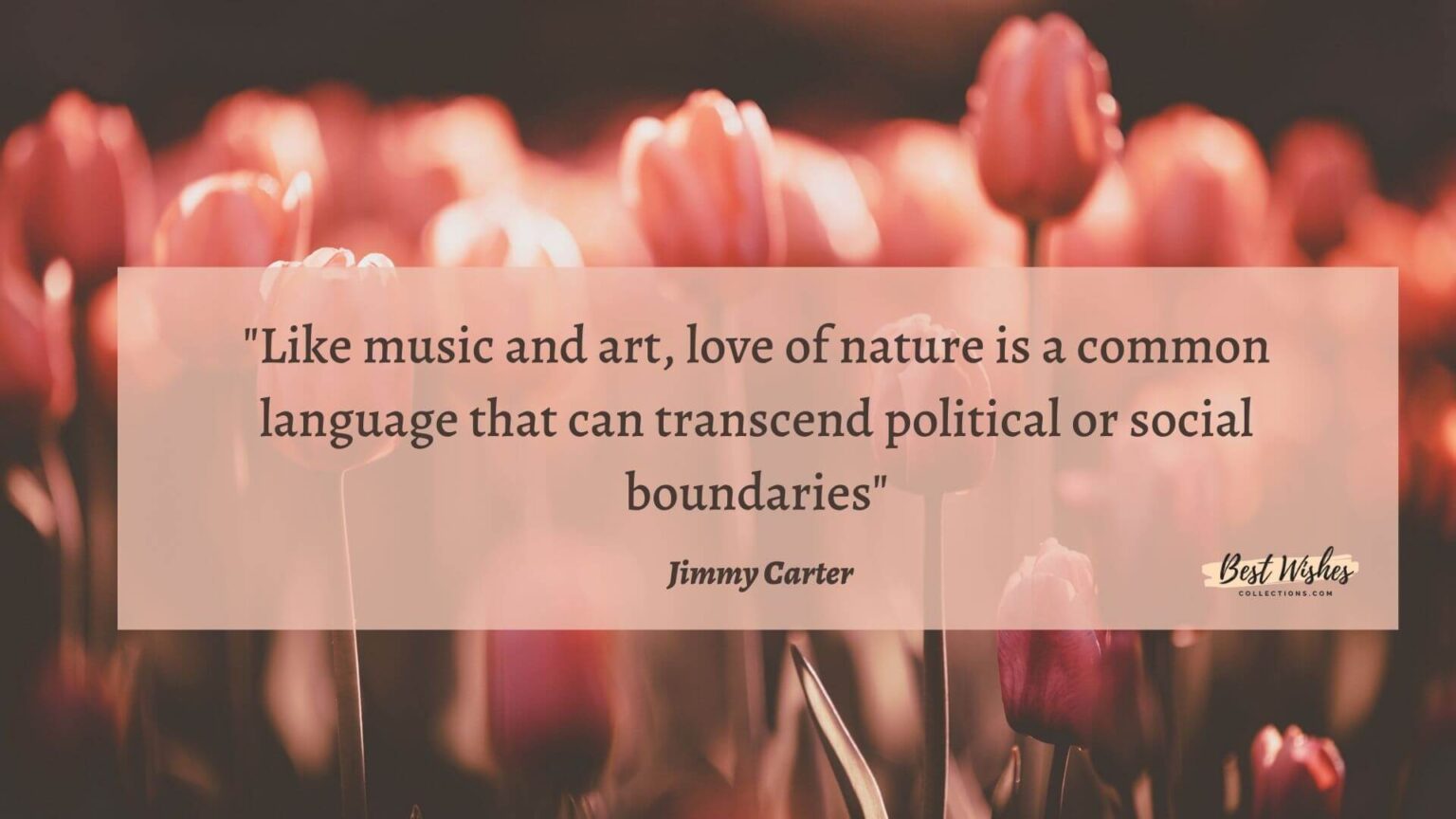 World Nature Conservation Day (28 July) Messages and Quotes