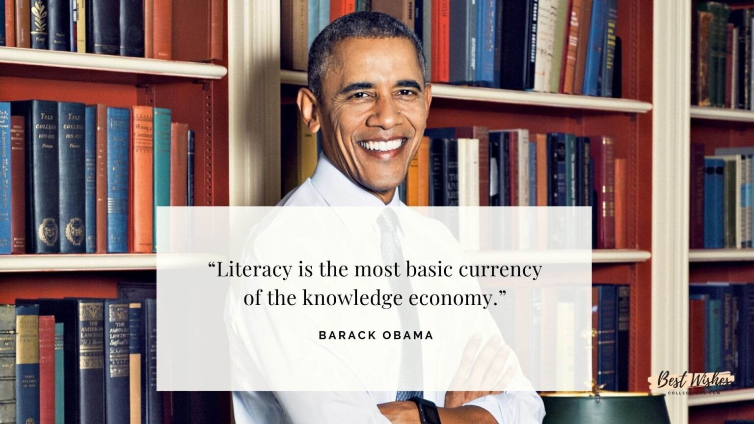 51+ International Literacy Day Themes, History, Quotes & Messages
