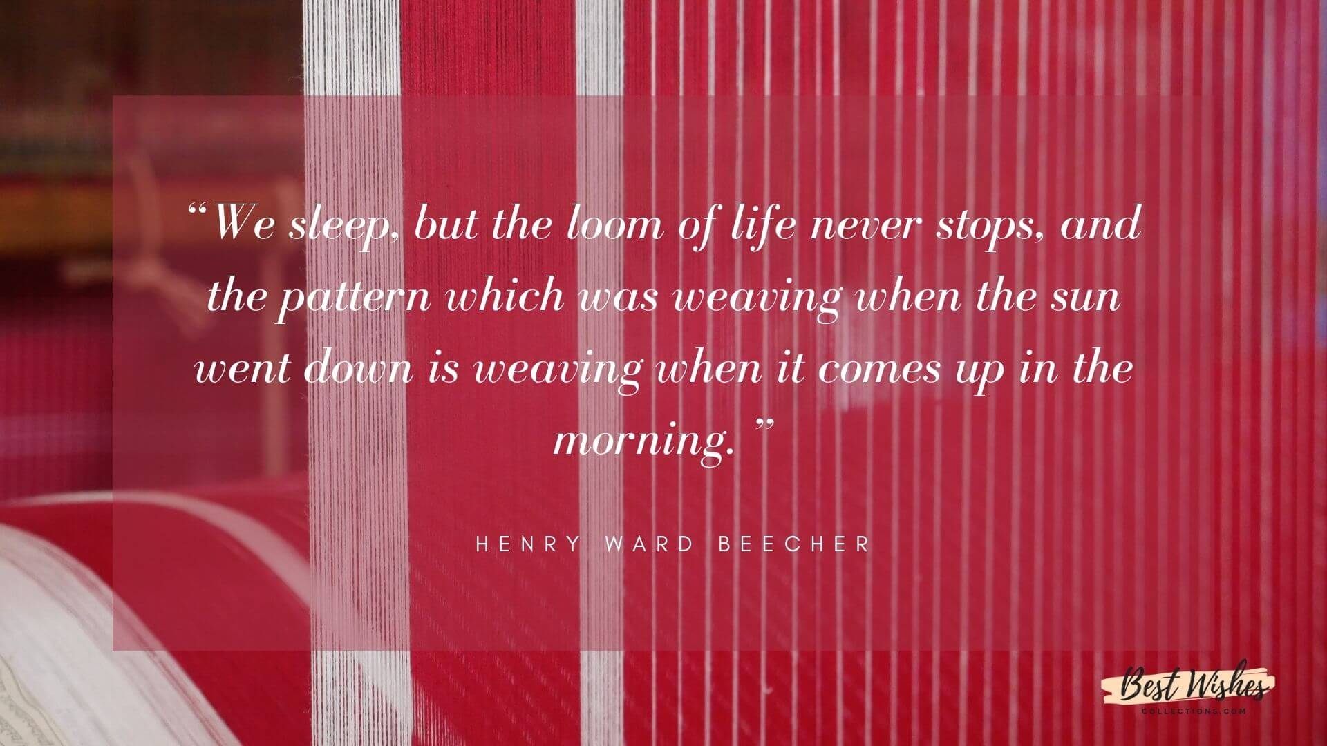 National Handloom Day: 40+Greetings, Messages, And Quotes