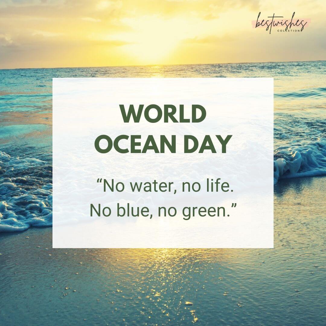 35 World Ocean Day Quotes Wishes Inspiring Messages 35 World Ocean Day Quotes Wishes Inspiring Messages