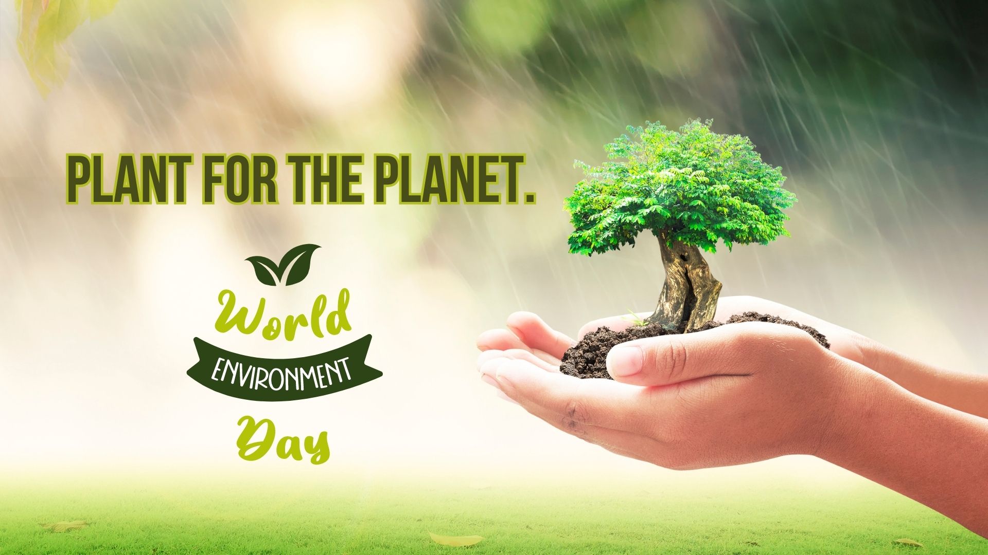 World Environment day Quotes, Theme, Slogan, Poster & Essay