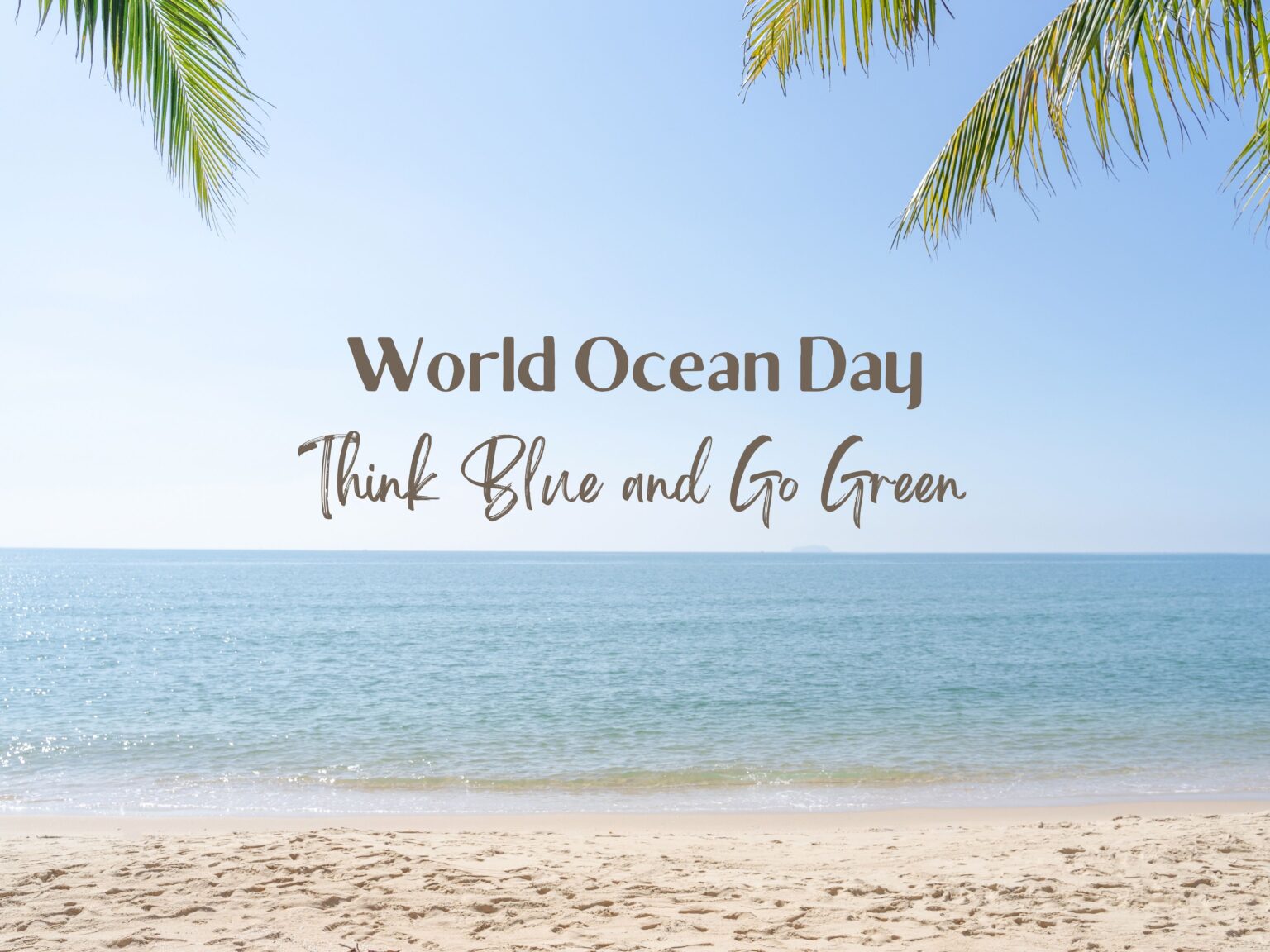 35+ World Ocean Day Quotes, Wishes & Inspiring Messages