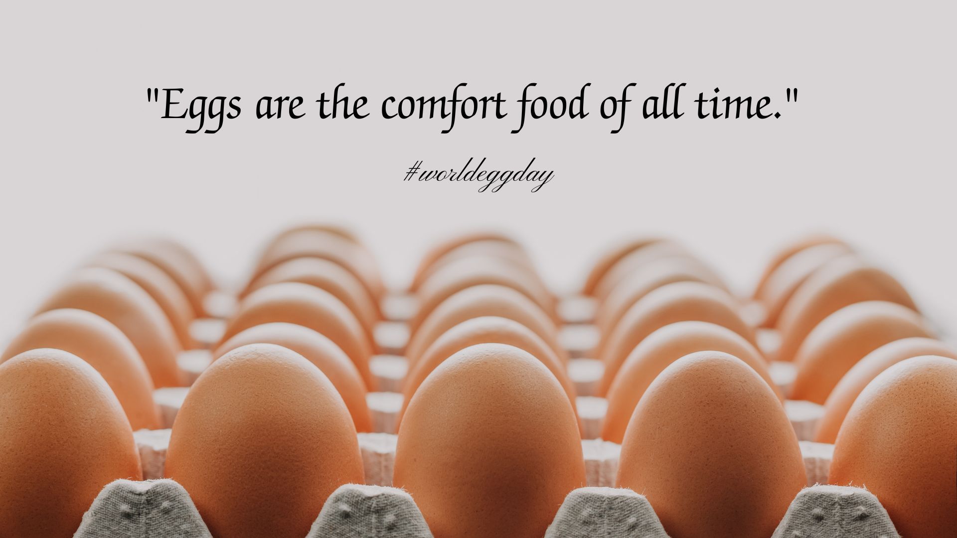 World Egg Day Quotes, Messages & Theme
